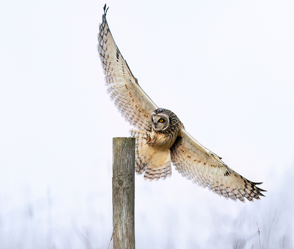 Posthaste | Hillyblips | Blipfoto