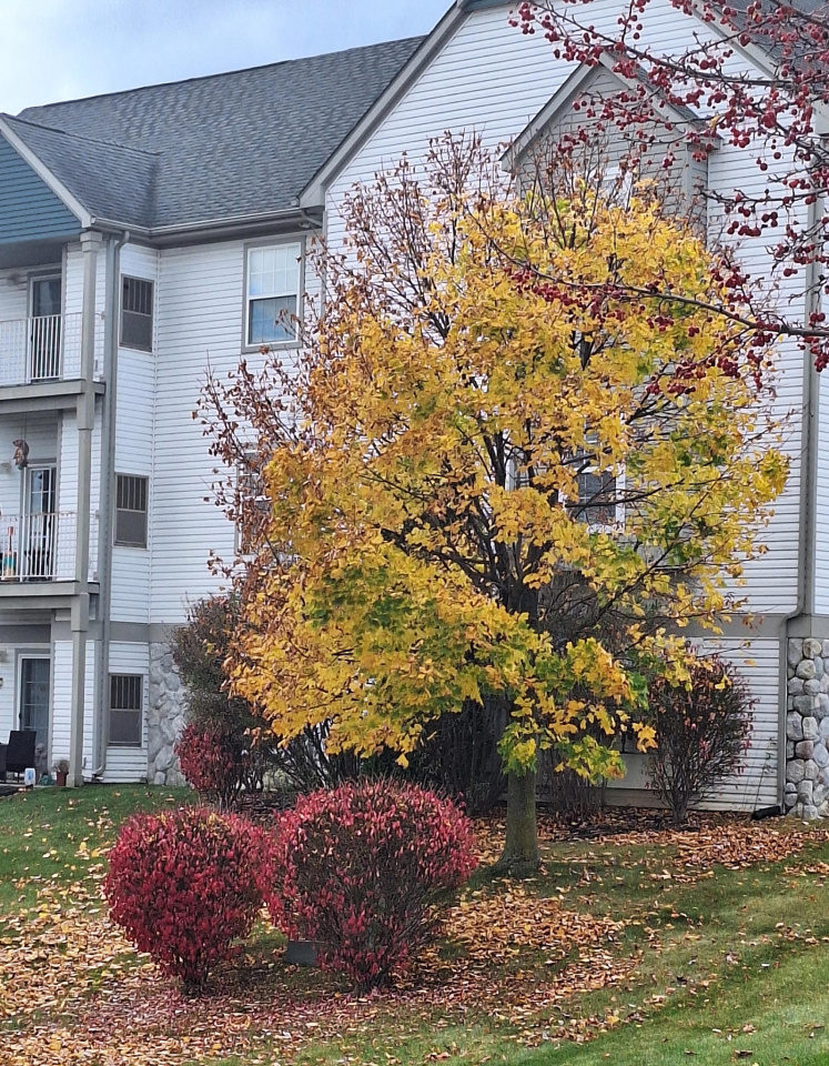 Casting a Pall...Over the Season of Fall | outdoorguy | Blipfoto