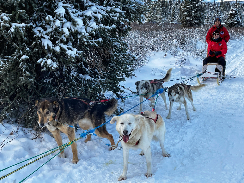 Dog Mushing Day | ErinR | Blipfoto