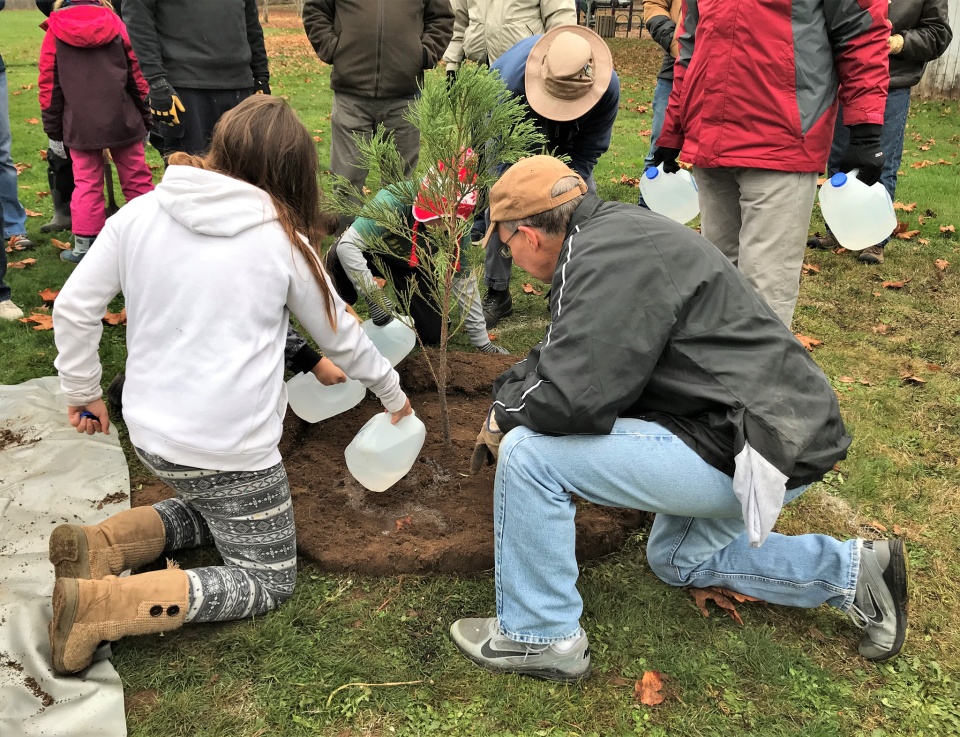 Sequoia Tree Planting | RonaldBerry | Blipfoto