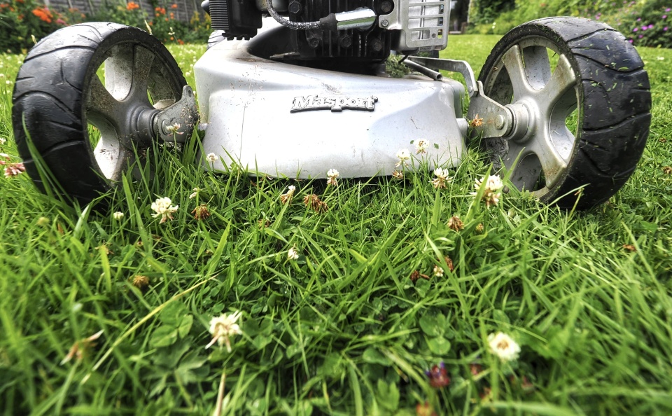 The first cut | Technophobe | Blipfoto