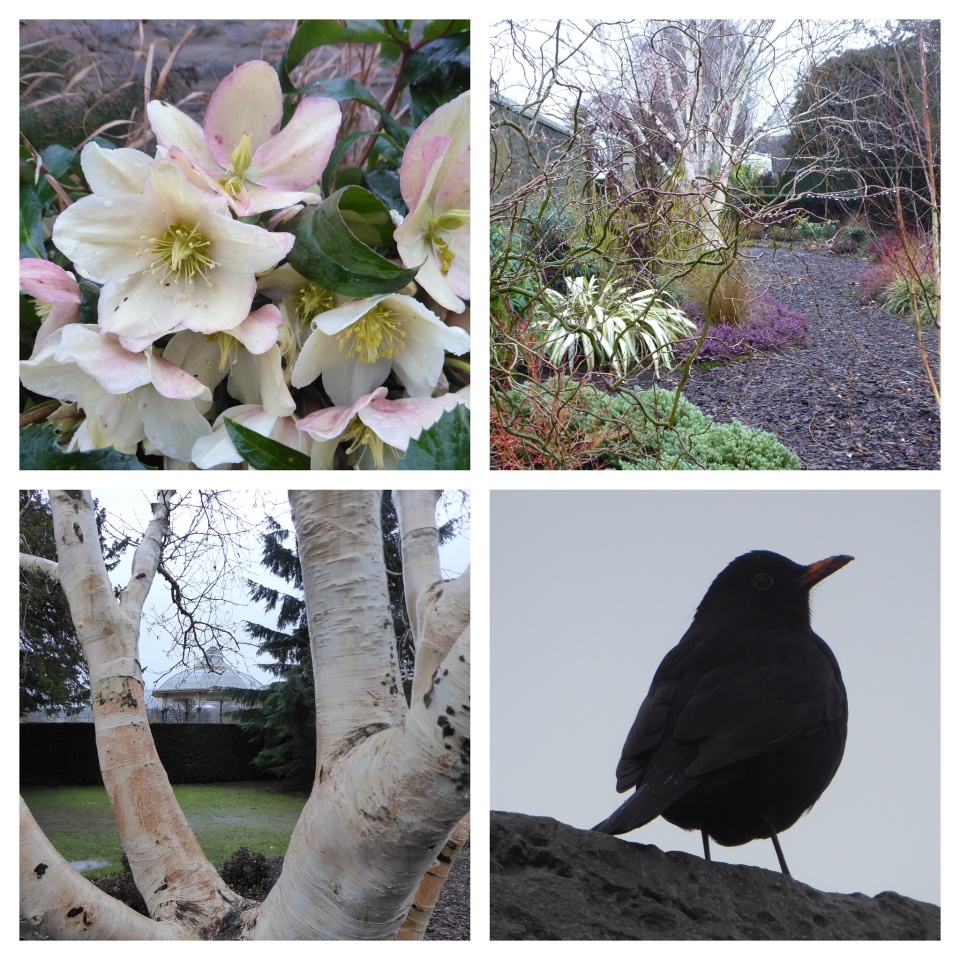 A Wet and Sleety Morning! | lovenature | Blipfoto