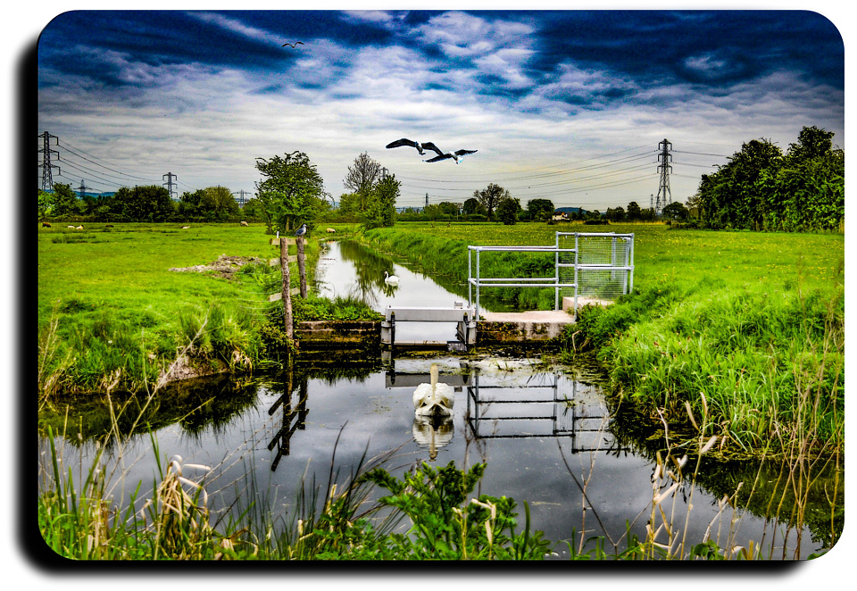 Straight on or left | Stuart46 | Blipfoto