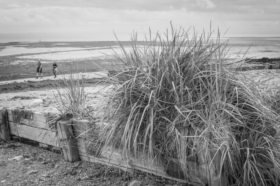 Walk on the beach | SkyAboveMe1 | Blipfoto