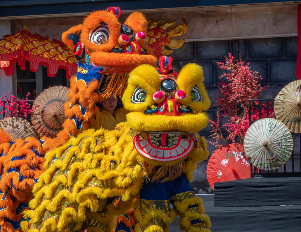 Gong hei fat choy......... | ninniex | Blipfoto