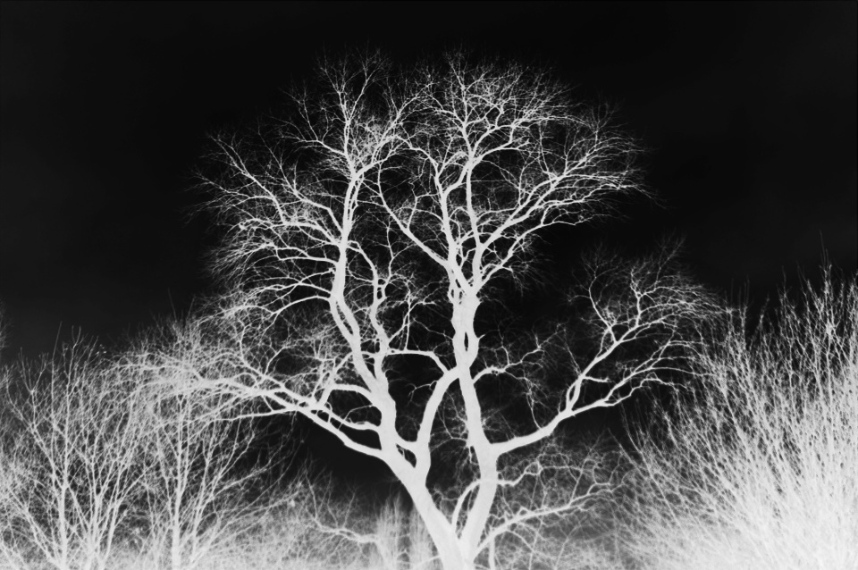 Negative impression | Andycurrie | Blipfoto