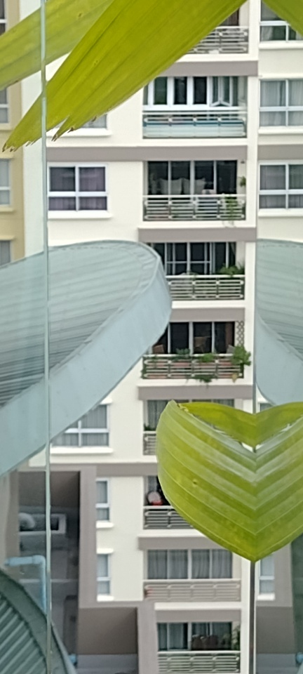 From the other side | marchmont | Blipfoto