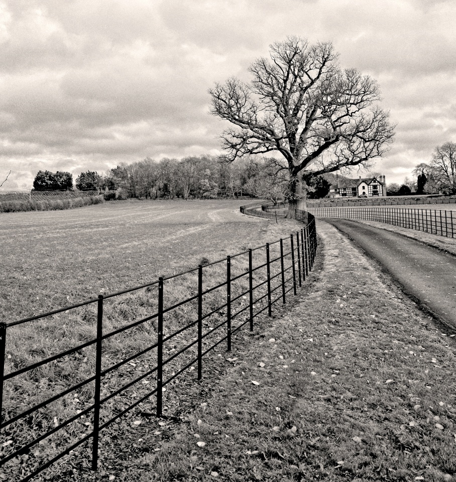 Drive | BobsBlips | Blipfoto