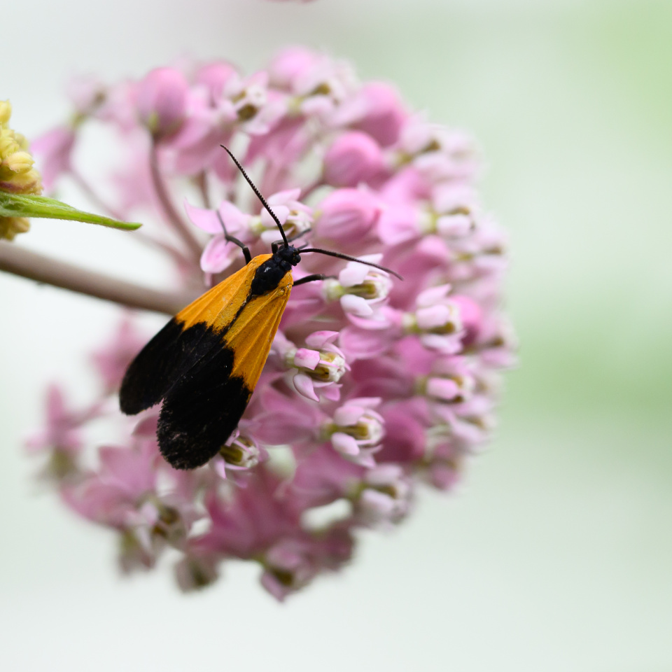 Season First | dbifulco | Blipfoto