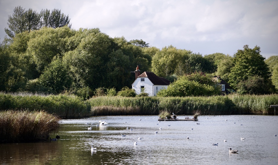 Peter's Pond | lesmark | Blipfoto