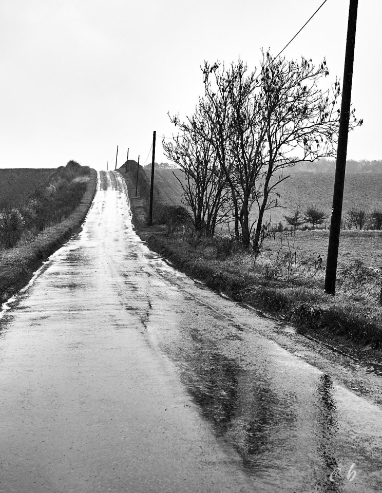 Rain on Rising Road | cbimages | Blipfoto