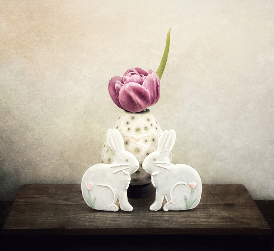 3 easter tulips | sk | Blipfoto