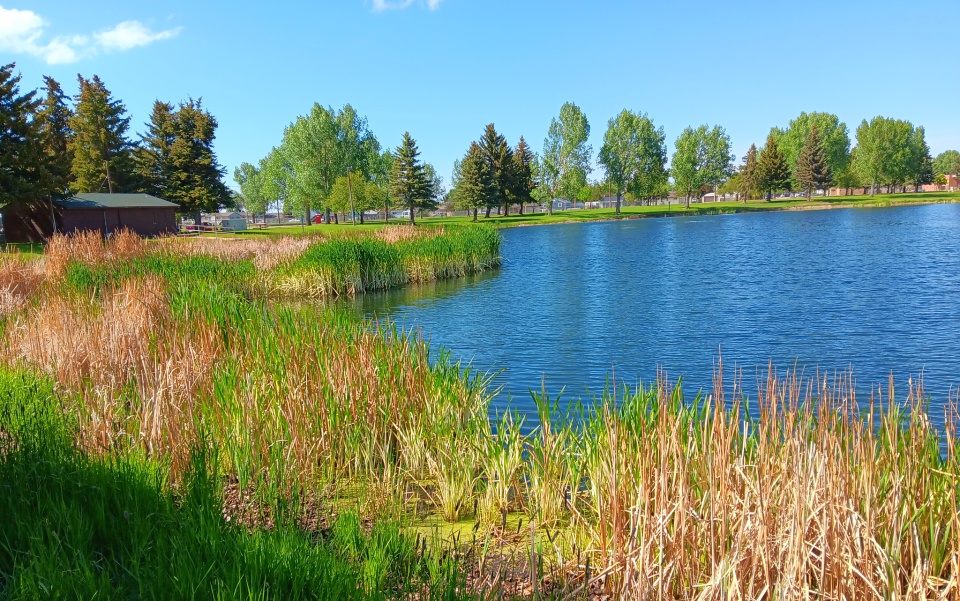 The park | TiciaS | Blipfoto