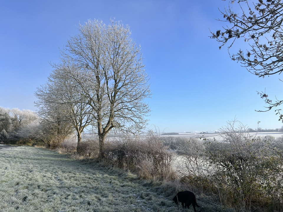 Sharp | Romay | Blipfoto