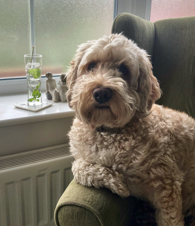 Critical Eye | mambo | Blipfoto