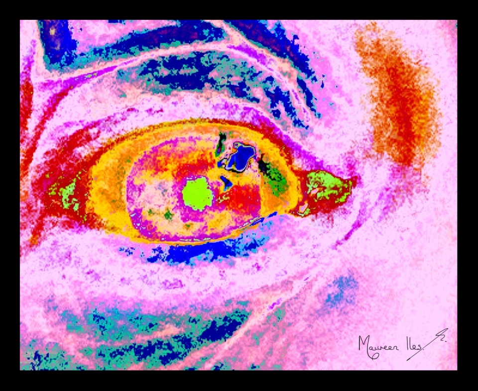 100 ABSTRACTS - NUMBER 26 | Honeycombebeach | Blipfoto