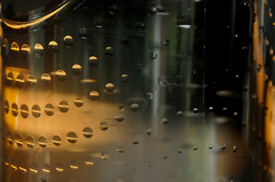 Bubbles | Ingeborg | Blipfoto