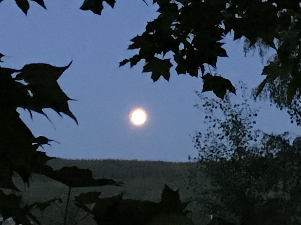 Full Moon | MissRAble | Blipfoto