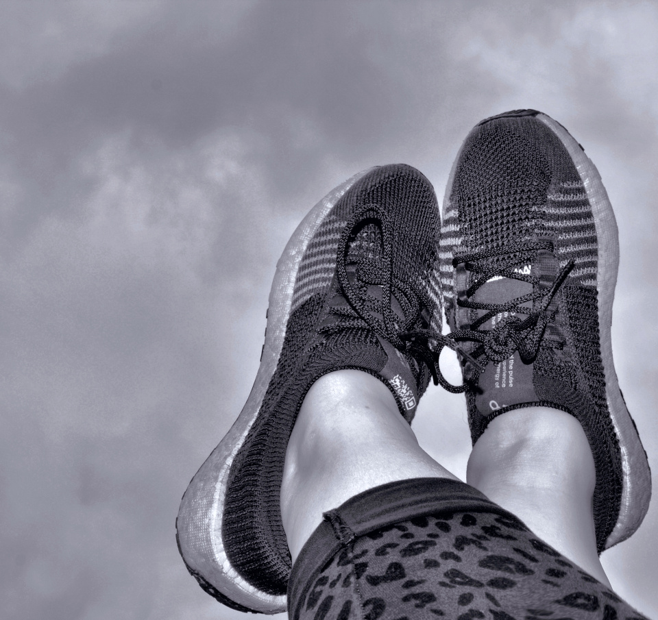 Looking Up | mambo | Blipfoto