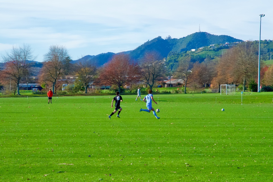 Can you spot what's wrong? | AndrewNZ | Blipfoto