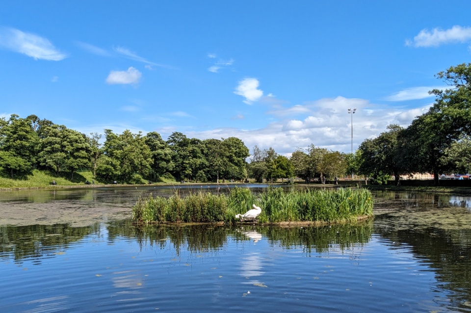 Inverleith pond | annejohn | Blipfoto