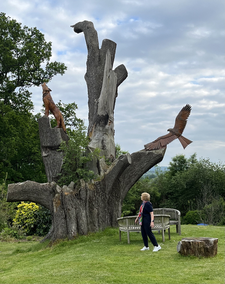 The Hound of the Baskervilles | Libra | Blipfoto