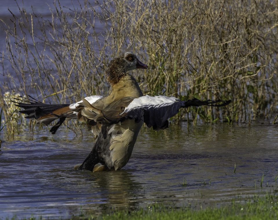 I'm not Flying but I'm Not Drowning Now | Hillyblips | Blipfoto