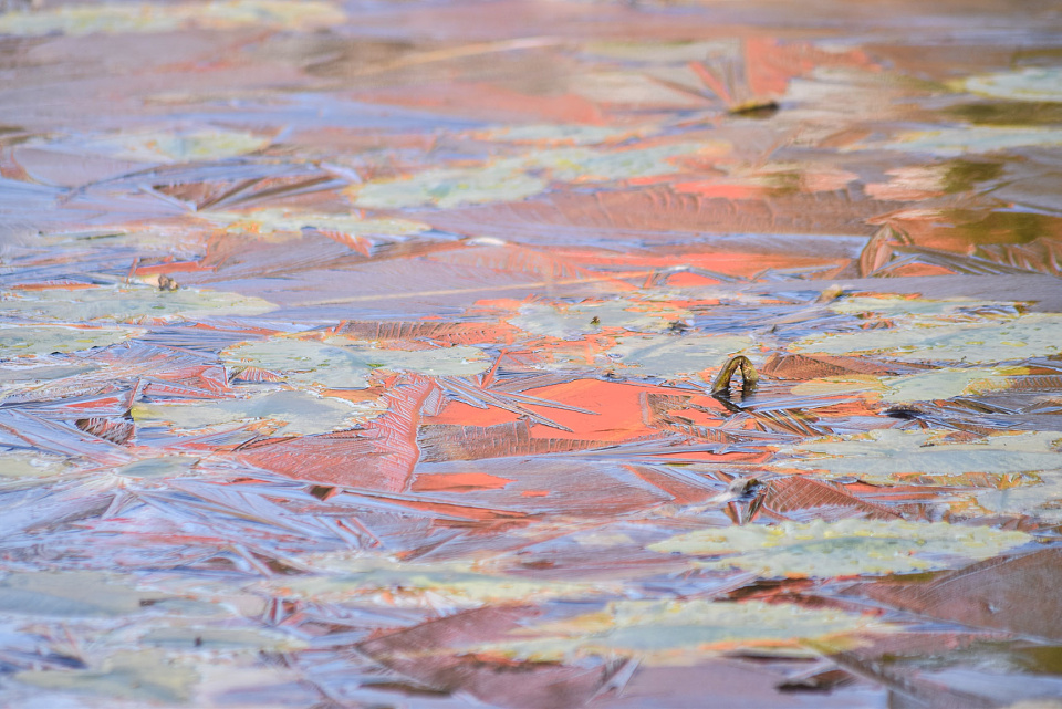 Ice on pond! | bighill | Blipfoto