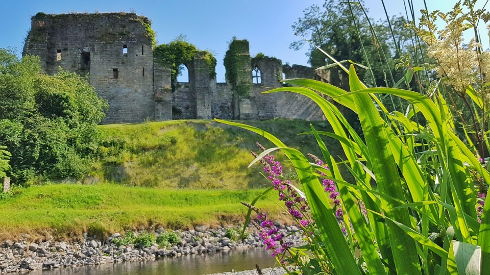 Cockermouth castle | trevorearthy | Blipfoto