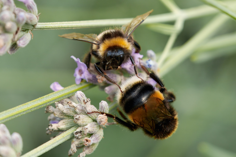 Inappropriate Touching | Incredibish | Blipfoto