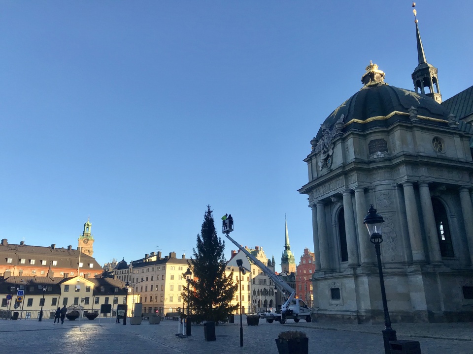 Three Churches and a Christmas Tree | MissRAble | Blipfoto