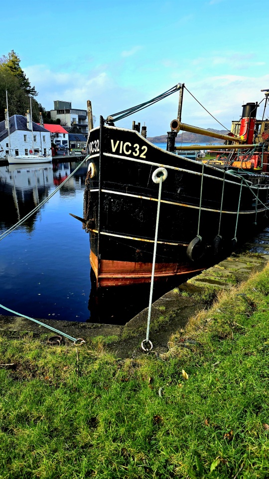 All tied up. | snapper | Blipfoto