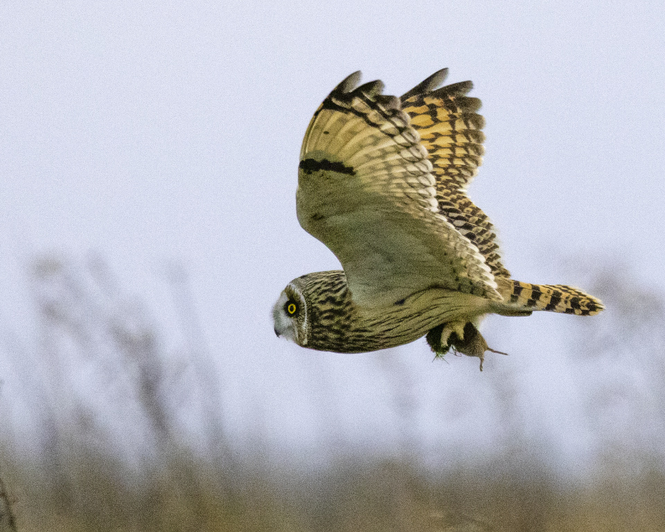 Capture | Hillyblips | Blipfoto