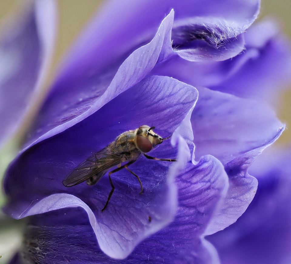 Hidden surprise | Technophobe | Blipfoto