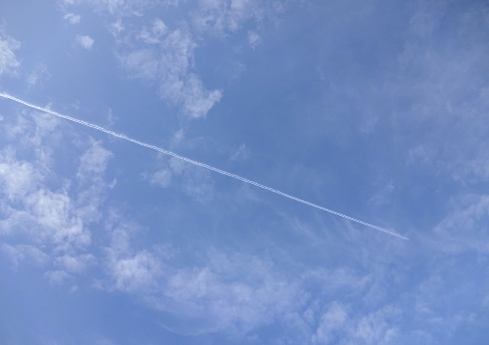 Rare sight | Emsie | Blipfoto