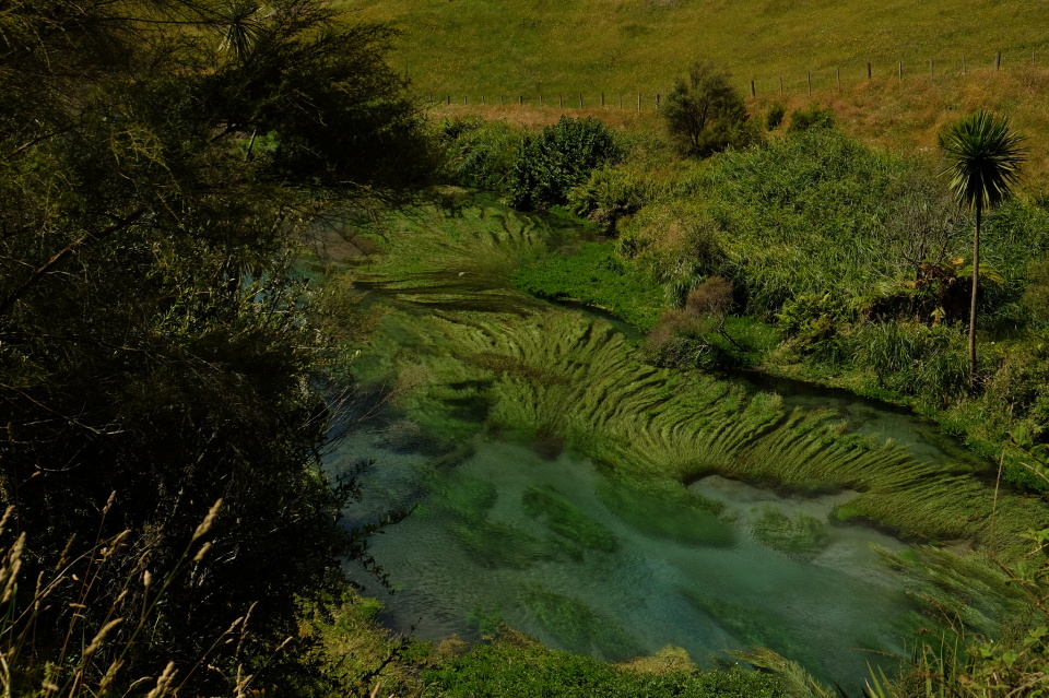 A local stream and walking track. | Tommie2 | Blipfoto