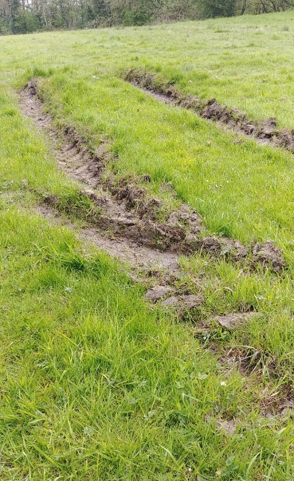 boggy ground | JackyMT | Blipfoto