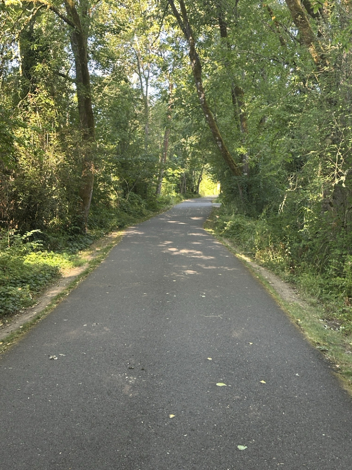 Cool Walk | seniormoments | Blipfoto