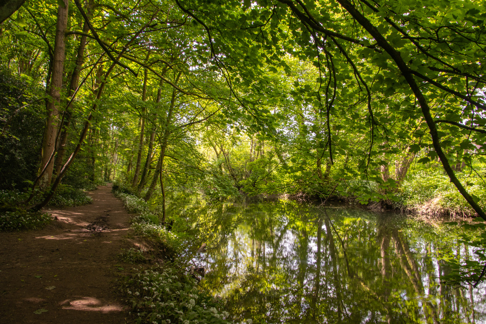 Riverside Walkies | Kernow | Blipfoto