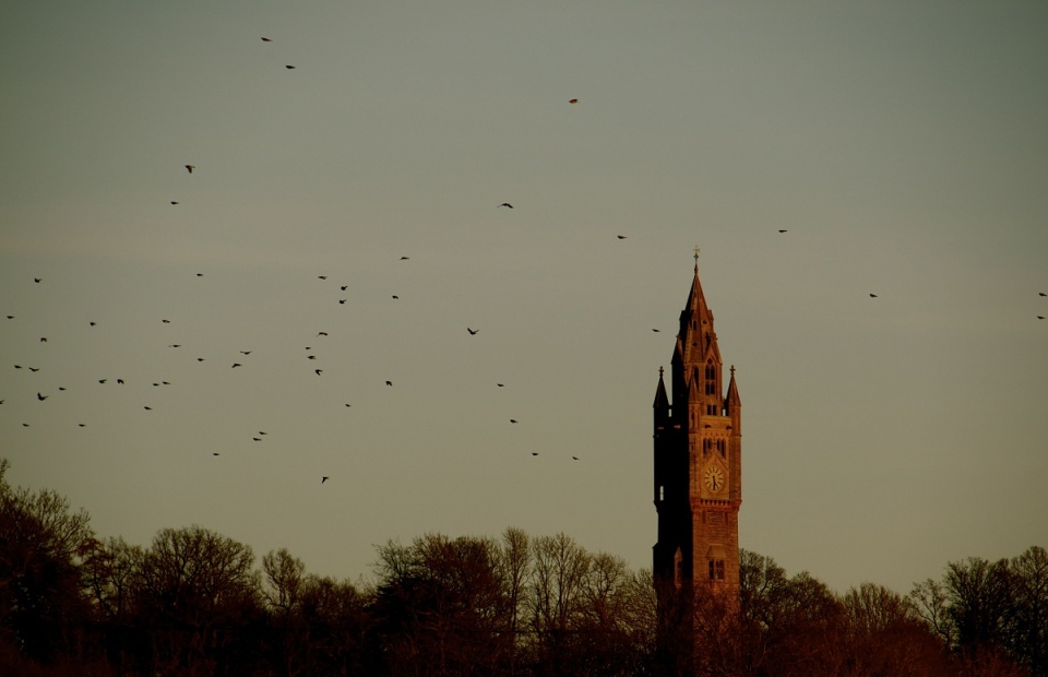 Abberley Hall clock tower | Risso | Blipfoto