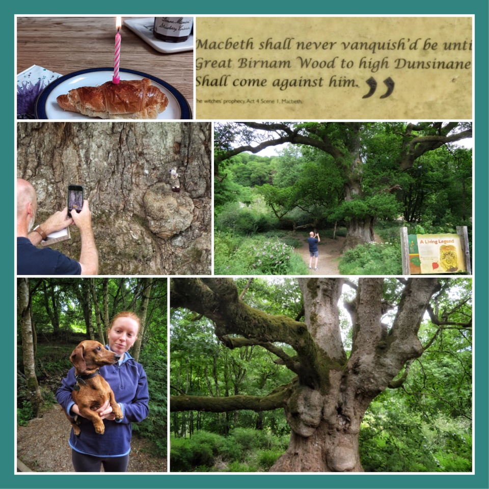 Birnam Woods and so much more… | Memories4Me | Blipfoto