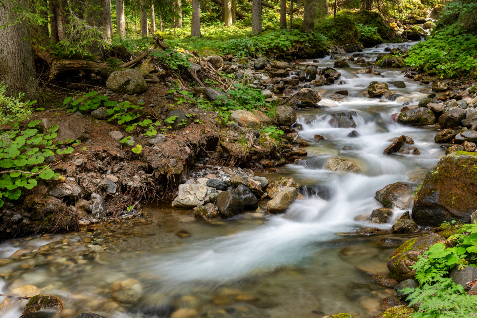 A little stream | NickyR | Blipfoto