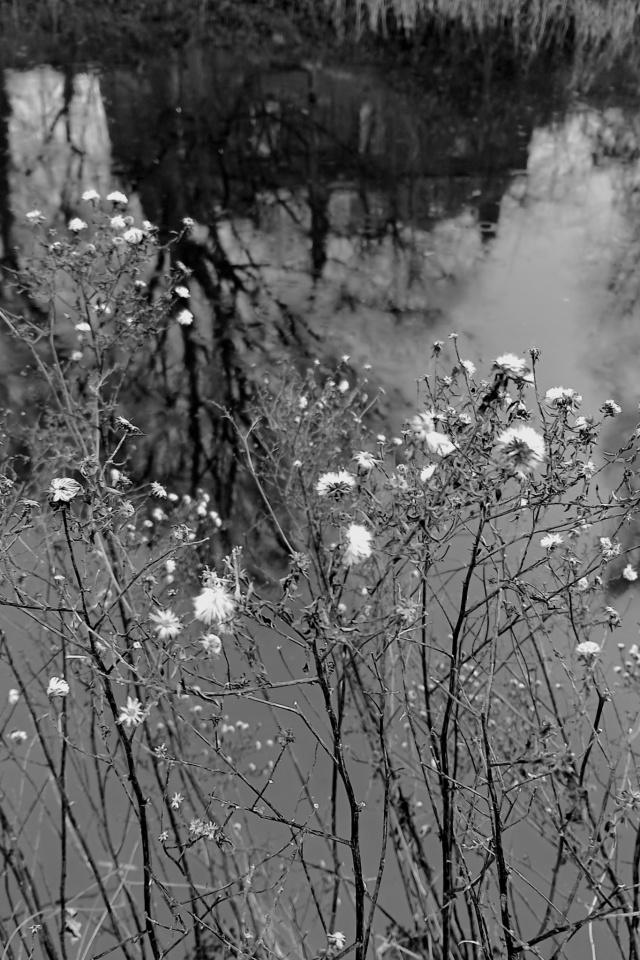 Inclined | middleman | Blipfoto