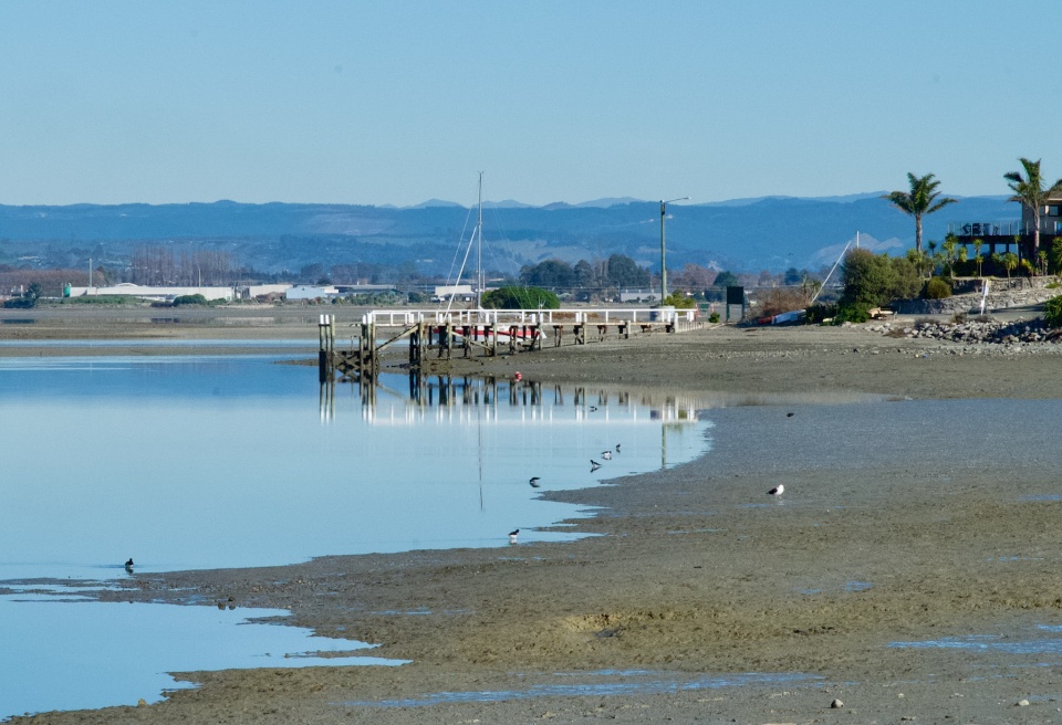 Plenty to see..... | AndrewNZ | Blipfoto