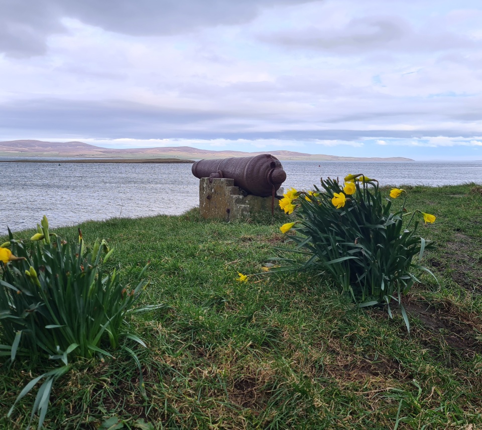 CANNON | EllyJay | Blipfoto