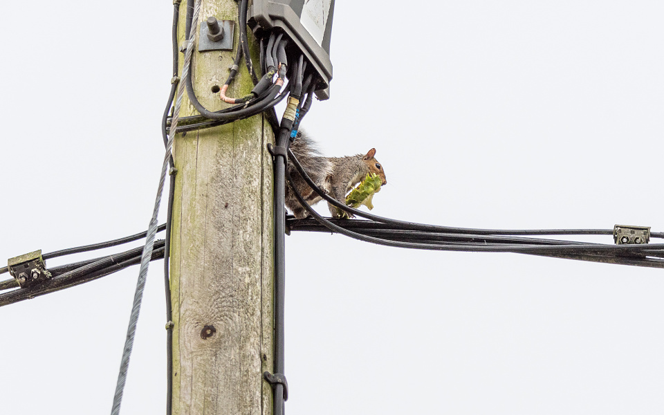 Treasure | AH14 | Blipfoto