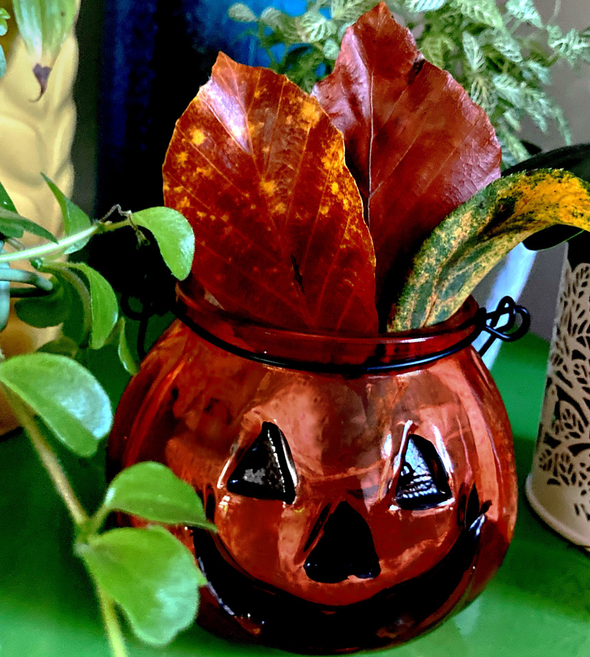 She wore Red Feathers | mambo | Blipfoto