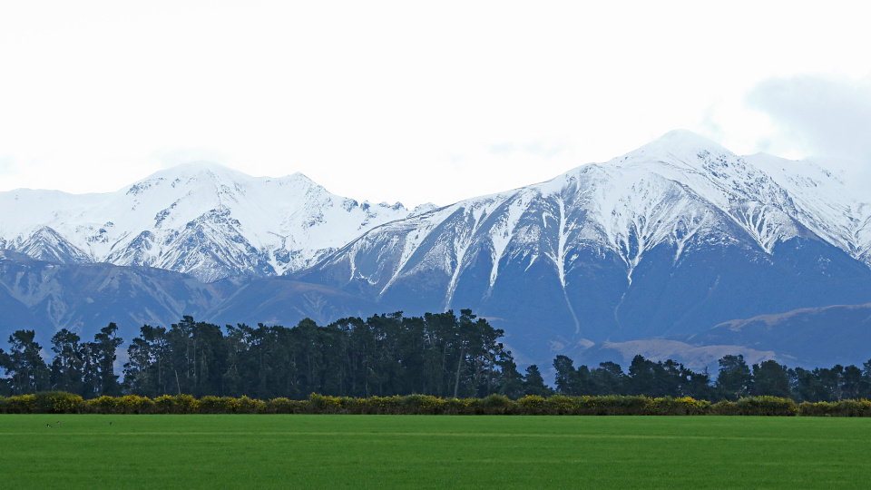 Castle Hill Peak & Mount Torlesse | cabbagetree | Blipfoto