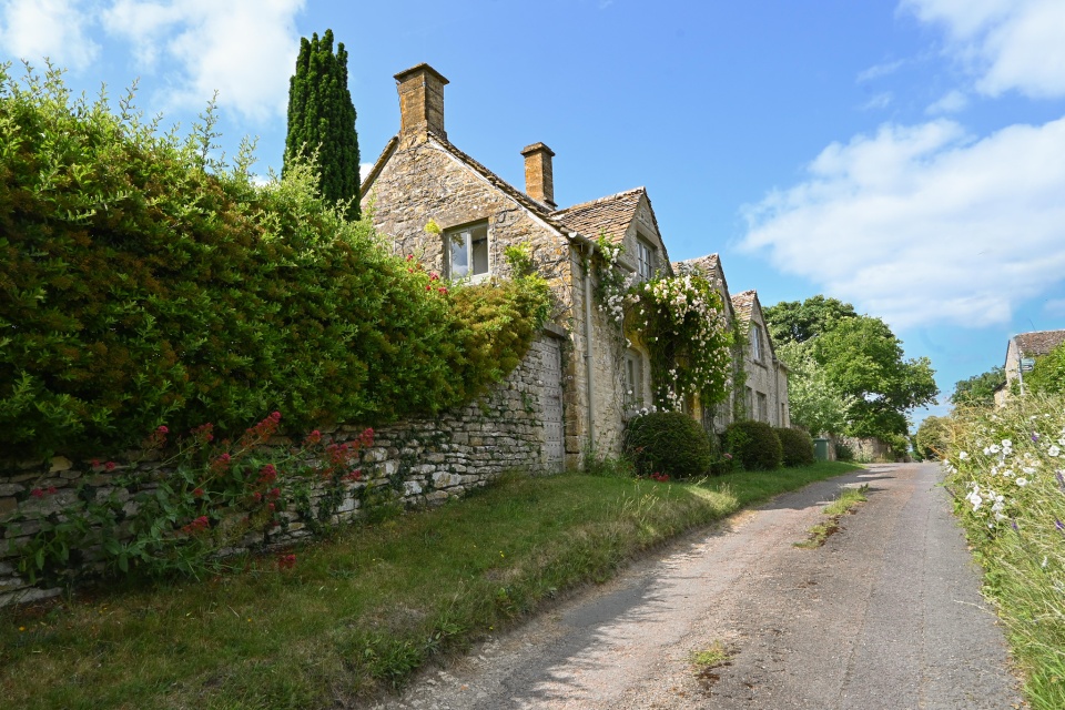 Neighbours' roses | Stiffknees | Blipfoto