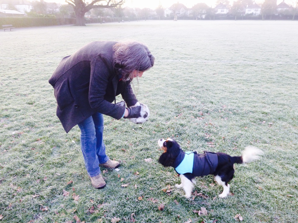 Another burst ball | Emsie | Blipfoto